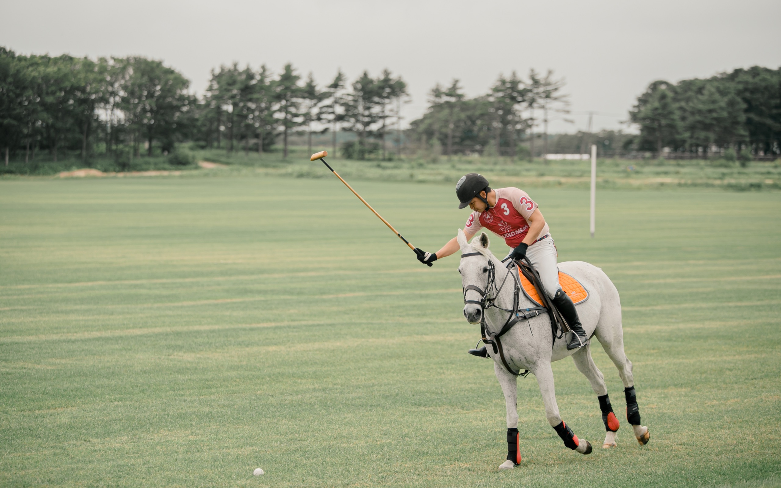 Hokkaido Home Farm & Polo Association | Our Brands | Clarence Education ...